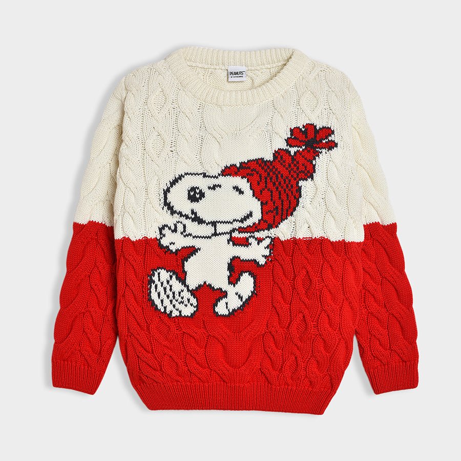 Mi Arcus - Peanuts™ Jolly Knitted Sweater - Sweater Full Sleeves