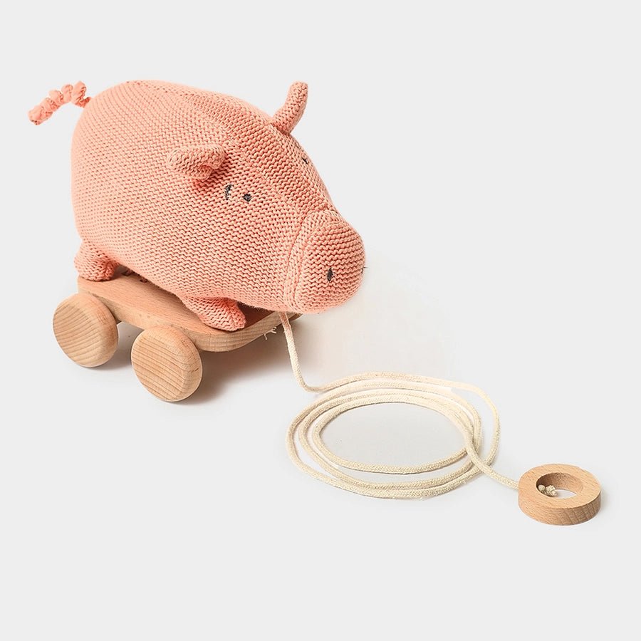 Mi Arcus - Push & Pull Pig Soft Toy - Pig Soft Toys Online India